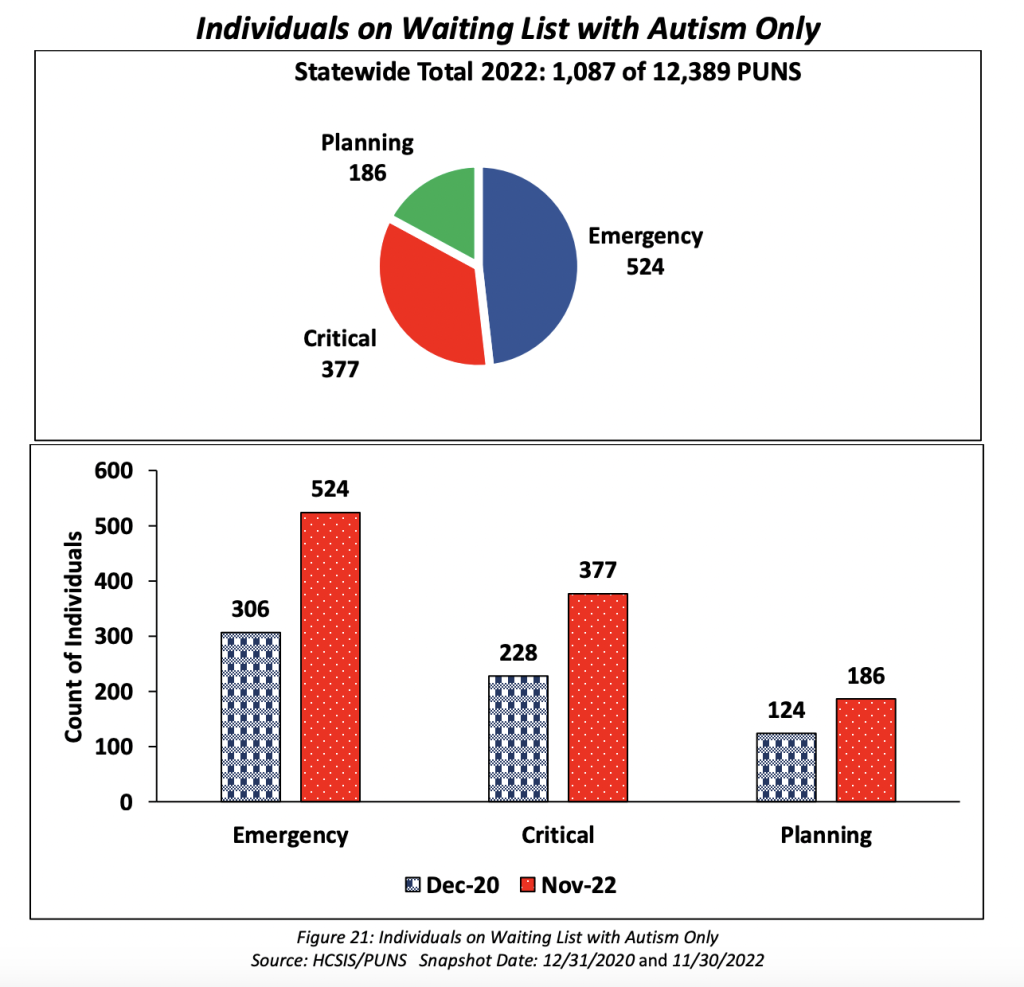 The State of Intellectual Disability and Autism Services in ...